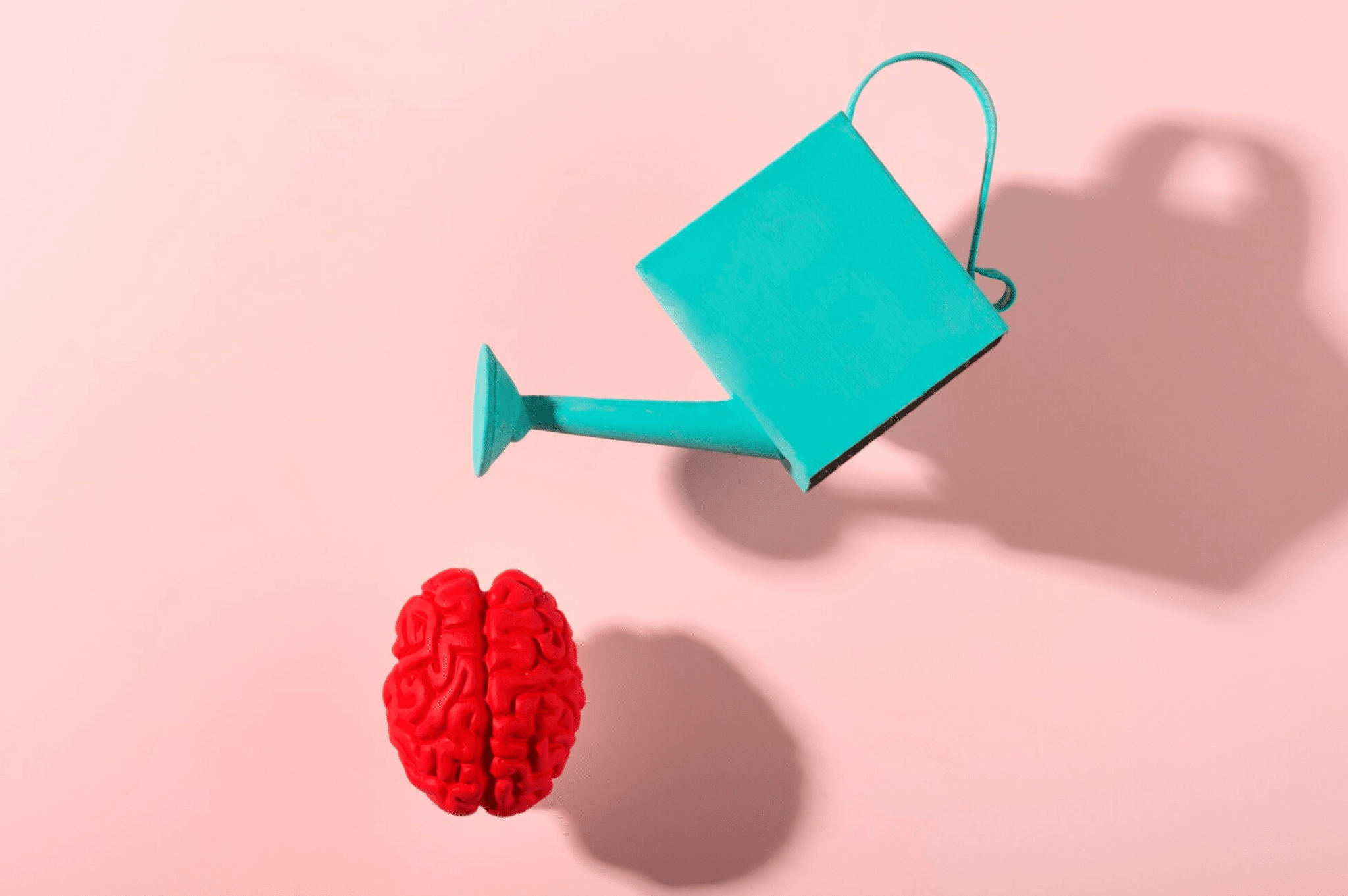 Creating a Growth Mindset for Career Success - SharksMind