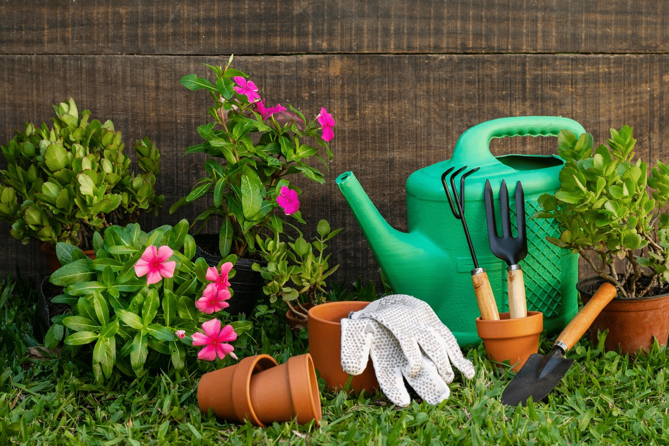 How to Create an Eco-Friendly Garden - SharksMind